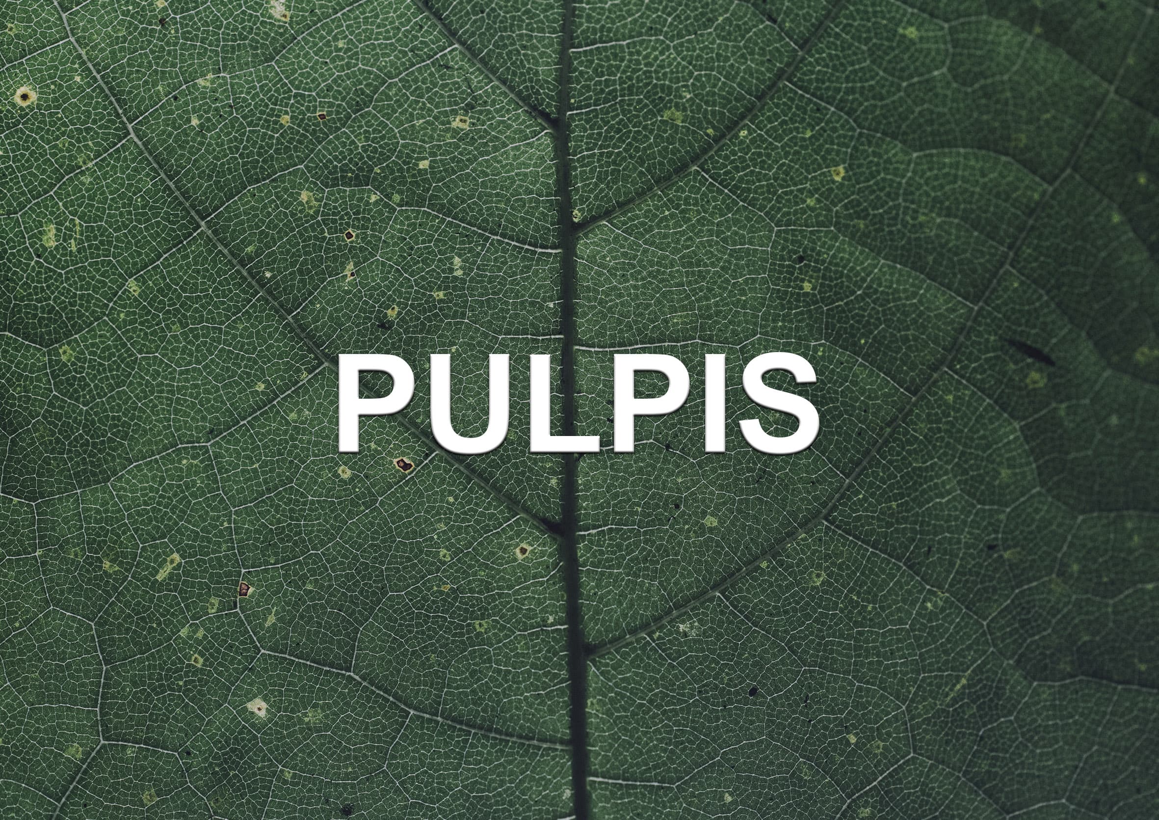 Pulpis - FANAL